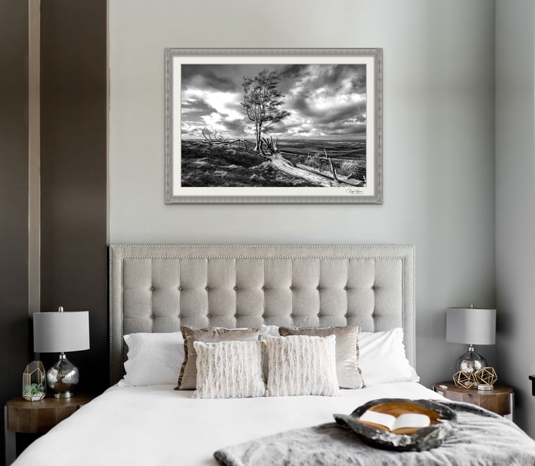 Fan Frynych Lone Tree | Limited Edition Fine Art Print