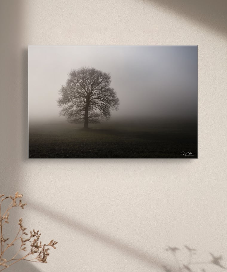 Solitude - Signed Limited Edition Contemporary Landscape Print