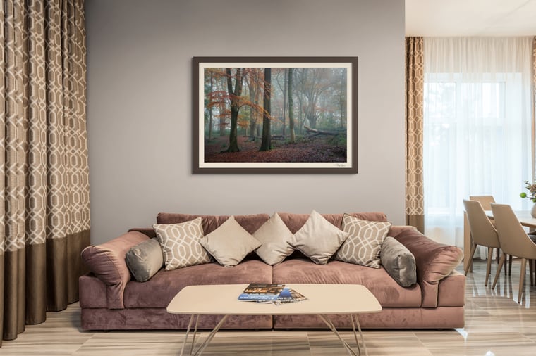 Divine Solace - Signed Limited Edition Forest Woodland Print