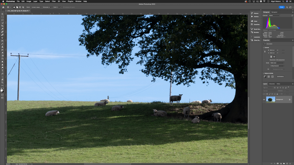 What is Content Aware Fill: All You Need to Know