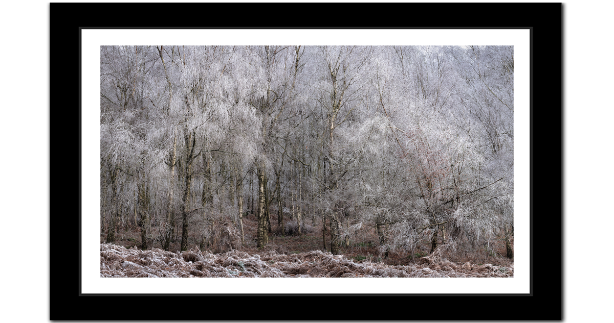 Frozen in time | Signed limited Edition Photograph Print
