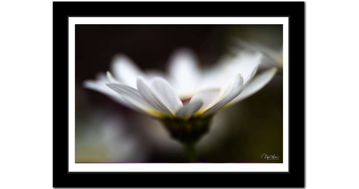 St Mary the Virgin Church Hanbury - Signed limited edition print