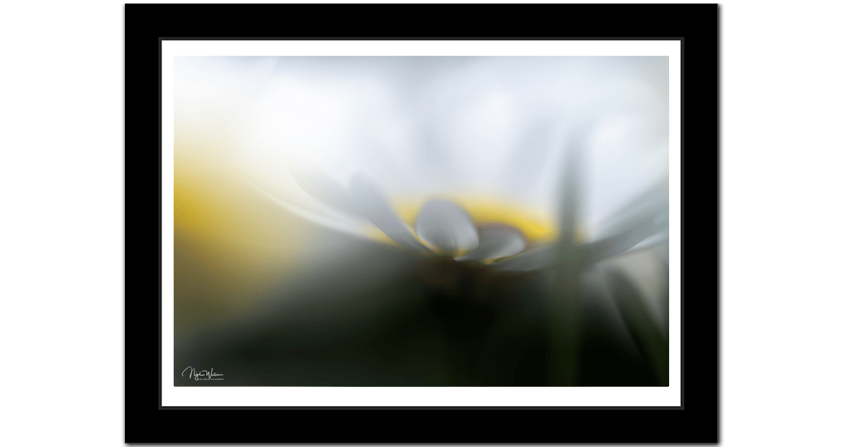 Daiglow - Limited Edition Abstract Nature Photograph Print