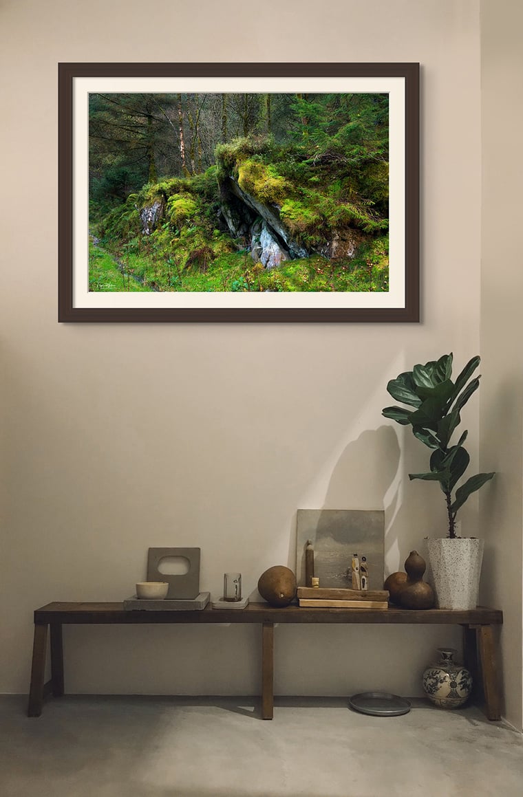 Rainforest Magic | Signed Limited Edition Photographic Print