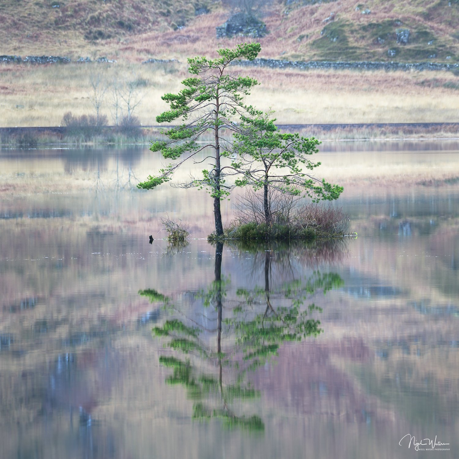Landscape & Fine Art Photography Prints | Nigel Waters Photography